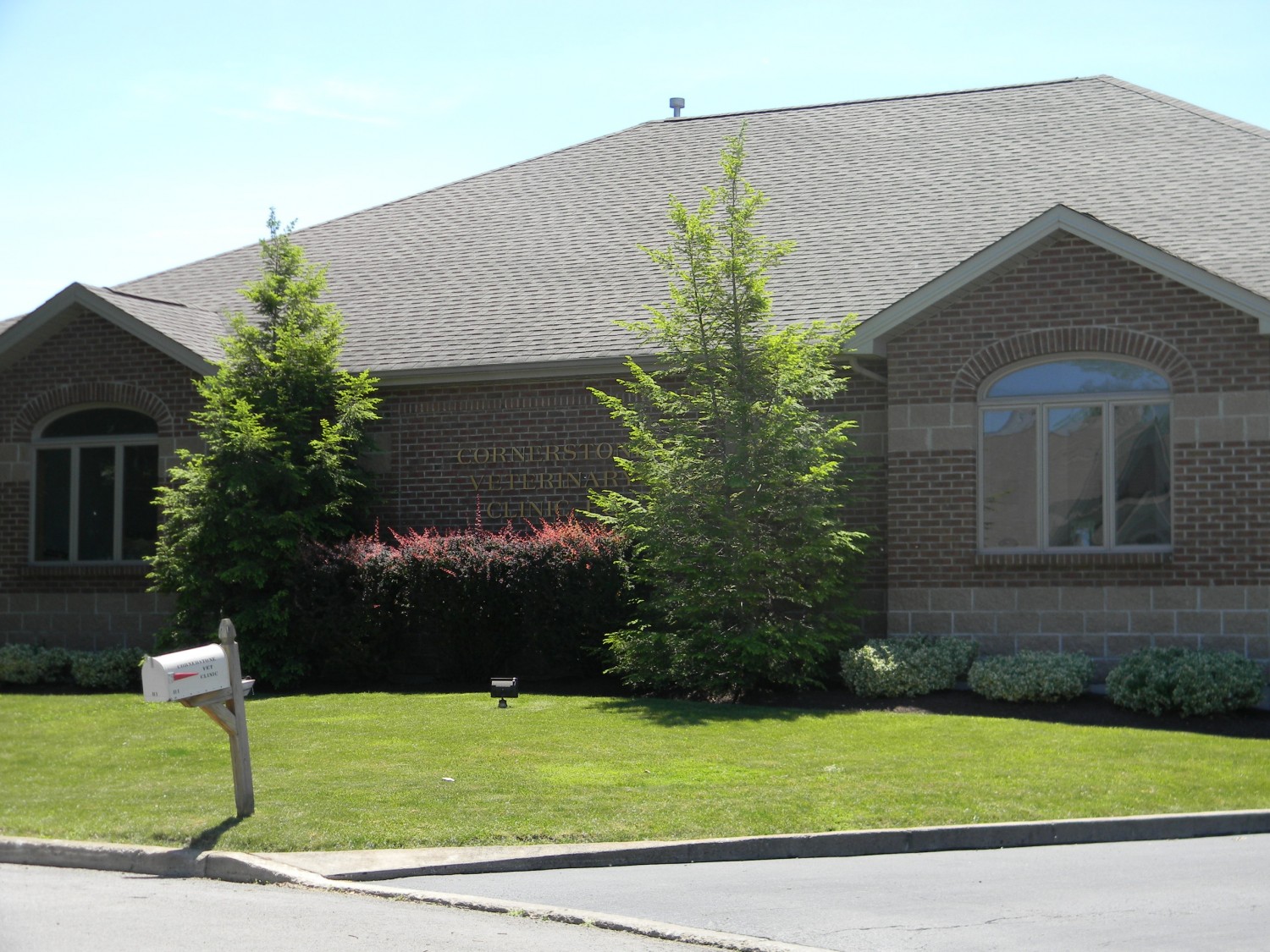 Cornerstone Veterinary Clinic - Lockport, NY - About Us